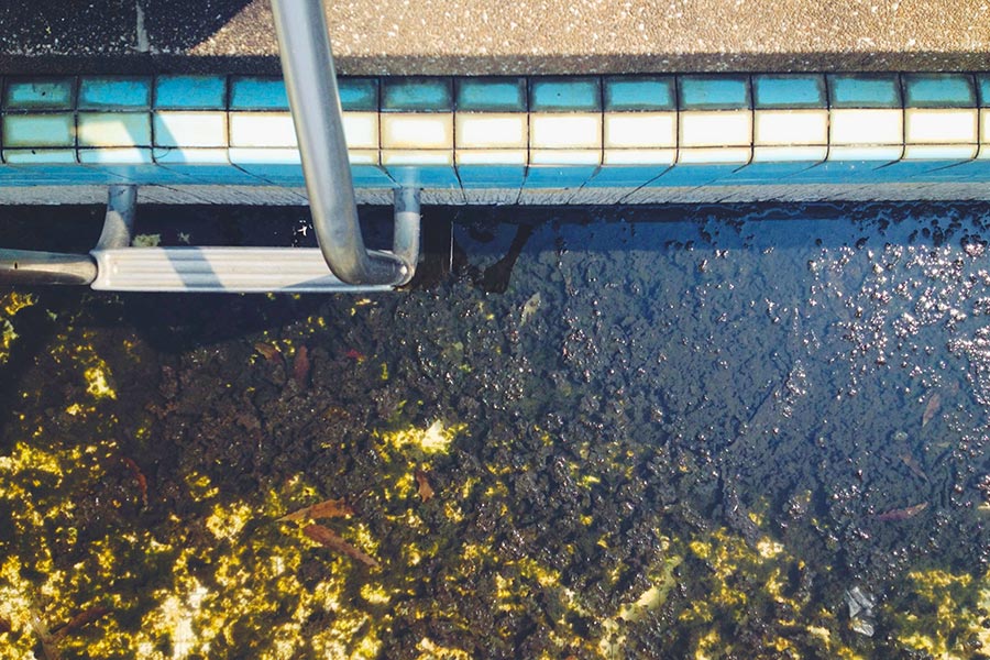 How to Fix a Green Pool, Kill Algae | Sunplay