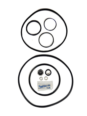 Pentair Pump Seal Quick Kit 356199 | Pentair 356199 — Sunplay