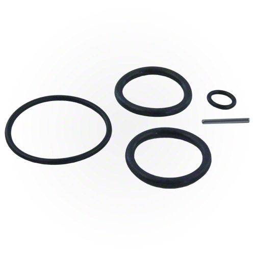 Pentair Slide Valve O-ring Kit 263054 | Pentair 263054 — Sunplay
