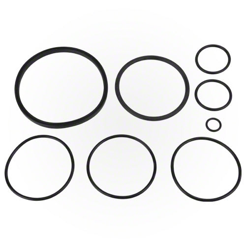 Zodiac Nature 2 Fusion O-Ring Kit R0502500 | Zodiac R0502500 — Sunplay